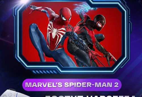 Spider-Man 2 PS4 / PS5 Турция