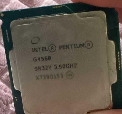 Pentium g4560