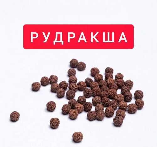 Рудракша