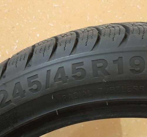 Triangle WinterX TW401 245/45 R19 102V