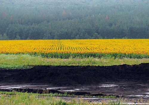 Чернозем Почвагрунт качественная - газель 2т