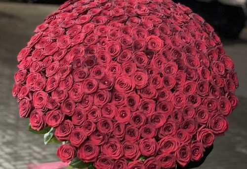 Цветы Розы с Доставкой 101#201#301#501