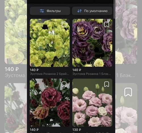 Эустома рассада (ирландская роза" или "лизиантус")