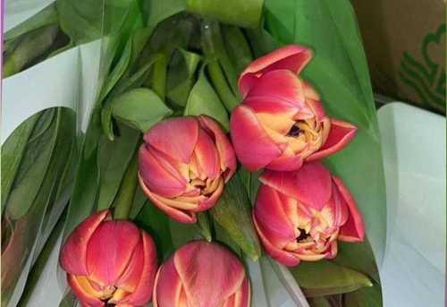 Прекрасные тюльпаны для любимых дам