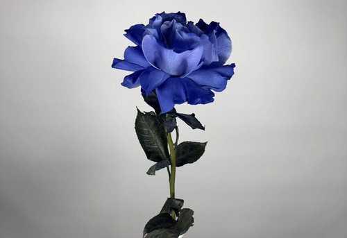 Эксклюзивная синяя французская роза