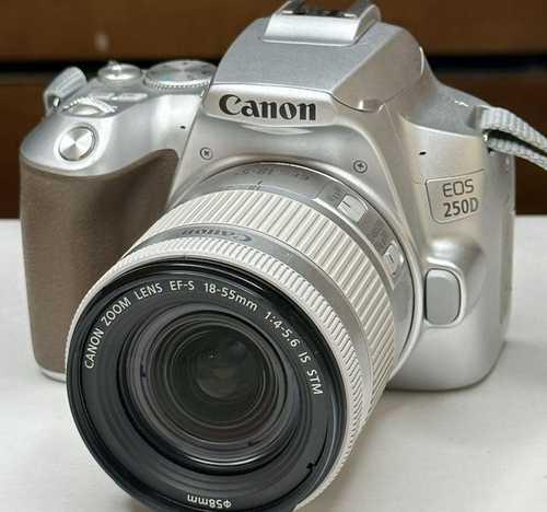 Canon EOS 250D + Canon 18-55mm (kit)