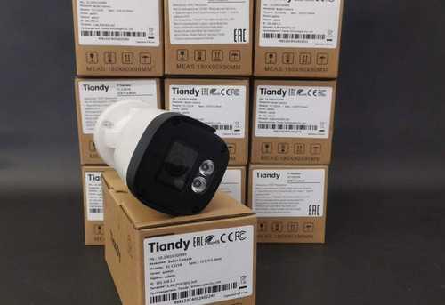 TC-C321N Tiandy уличная IP камера 2Мп, 10шт