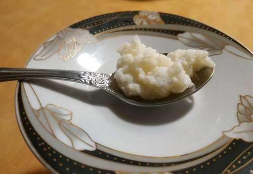 Тибетский (молочный, кефирный) гриб
