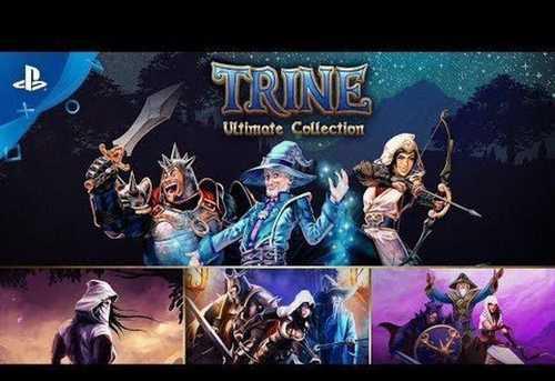 Trine: Ultimate Collection Игры для двоих Ps4 Ps5