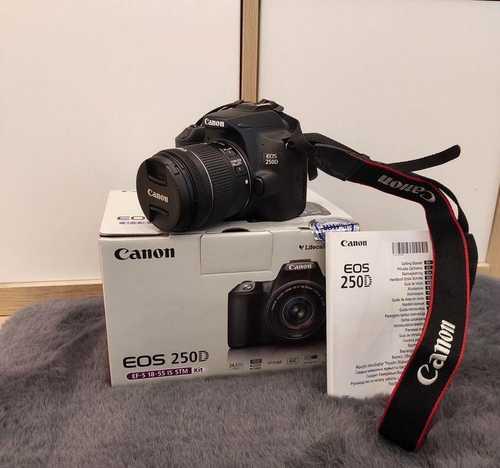 Фотоаппарат canon eos 250d kit