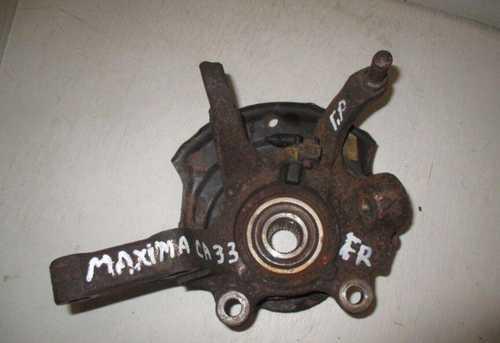 Кулак поворотный передний правый Nissan Maxima