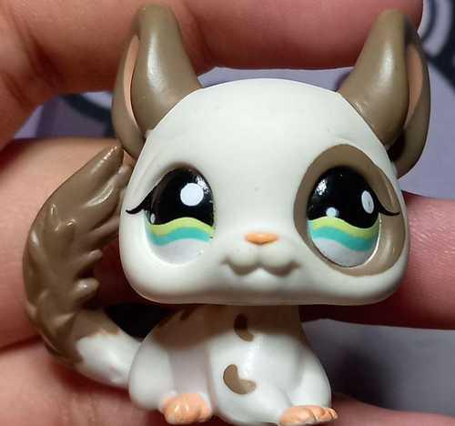 Littlest pet shop шиншилла