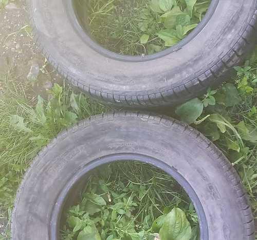 Pirelli Dragon 205/65 R15