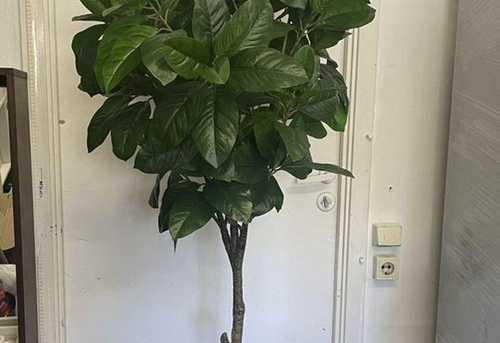 Фейка искусственное растение икеа