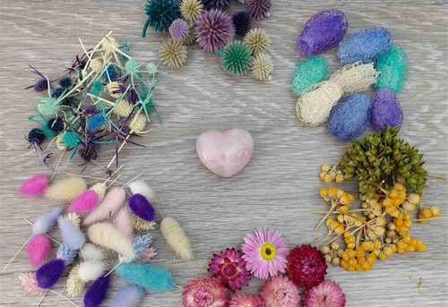 Набор для творчества из 8 видов сухоцветов