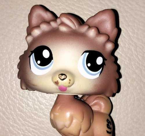 Littlest pet shop шпиц