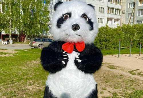 Надувной костюм панда,ростовая кукла