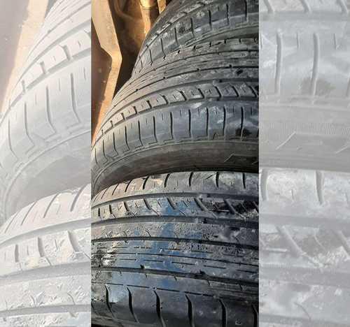 Toyo Proxes C1S 195/65 R15