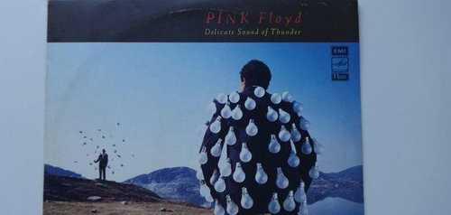 Pink Floyd-Delicate sound of Thunder (2 LP)