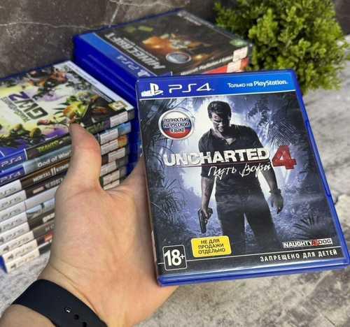 Uncharted 4 путь вора ps4