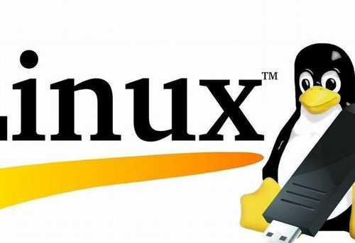 Флешка Linux