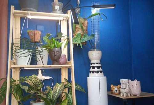 Стеллаж с растениями и лампами