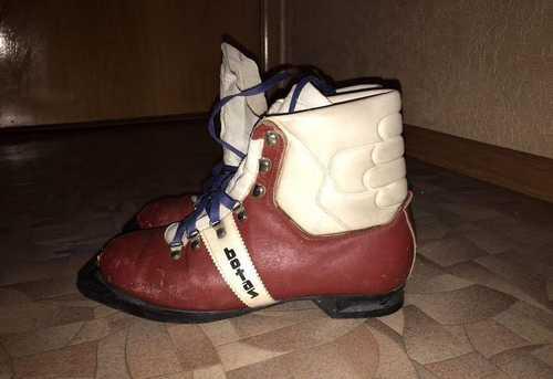 Лыжные ботинки botas nordic 39