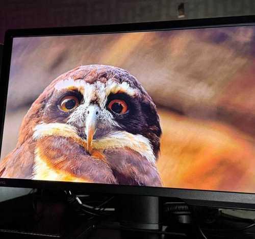 Игровой монитор Benq 2411T 144HZ