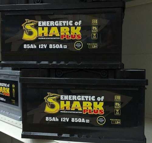 Energetic of shark plus-85 Ah (низкий)