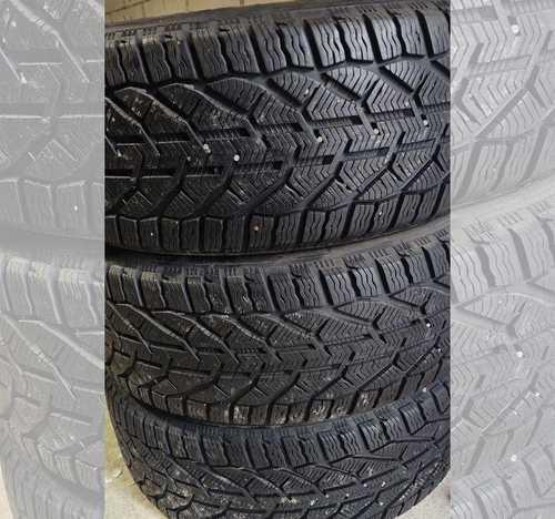 Tigar Winter 225/45 R17 94H