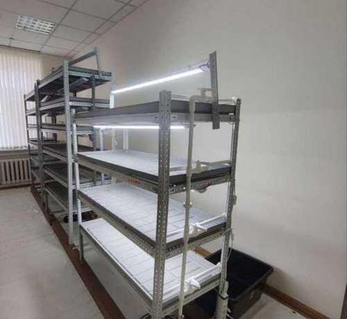 Стеллаж для выращивания микрозелени