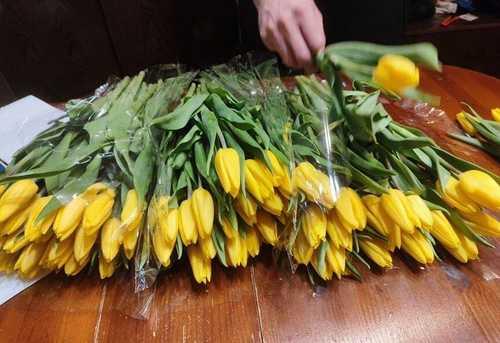Цветы тюльпаны жёлтые