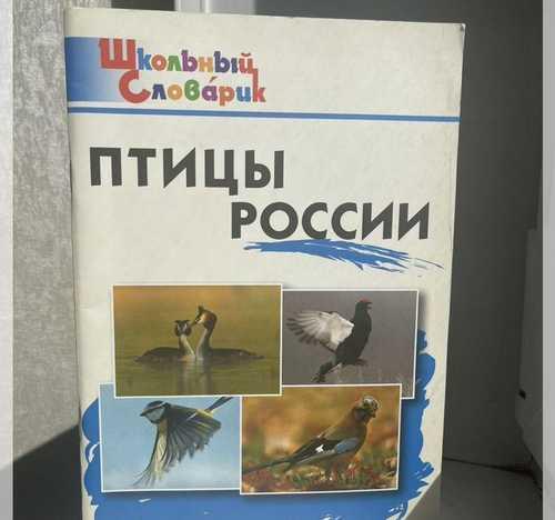 Книга для детей начальной школы Птицы России