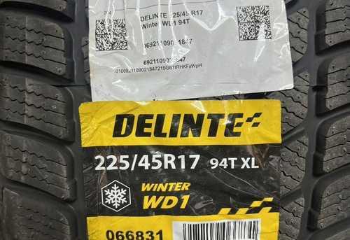 Delinte Winter WD1 225/45 R17