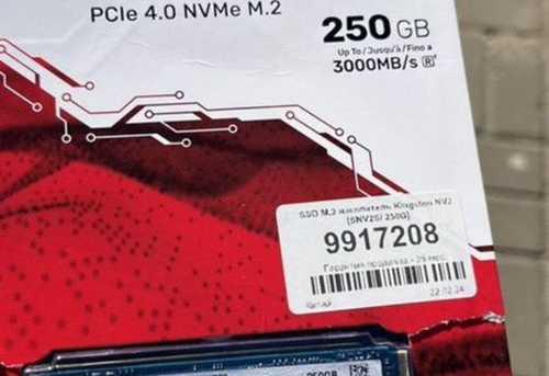 Ssd m2 kingston 250GB