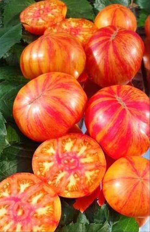 Семена томатов редких сортов