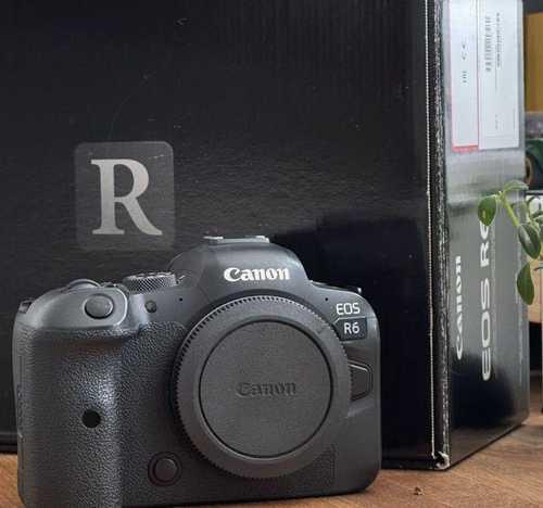 Canon eos r6 body