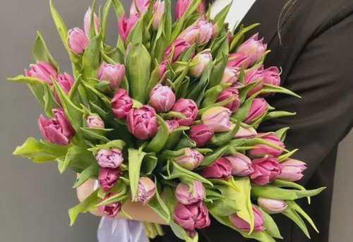 Цветы тюльпаны в опт доставка