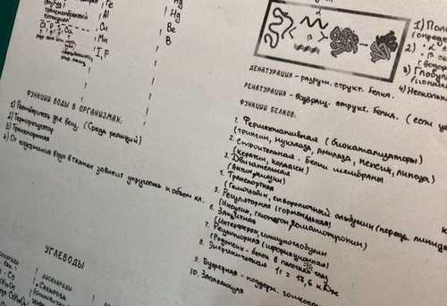 Папка для подготовки к экзамену по биологии