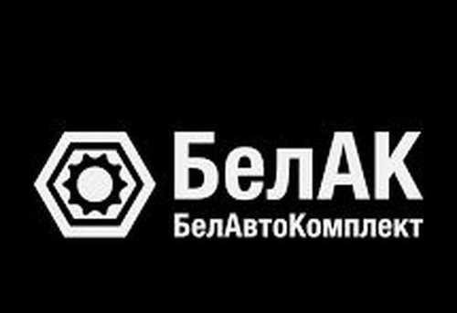 БЕЛАВТОКОМПЛЕКТ BAK07005 бак.07005 набор инструмен