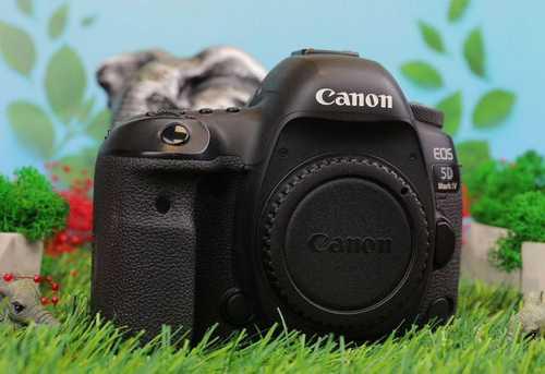 Canon EOS 5D Mark IV Body ID 143 Москва | Фототехника | Festima.Ru – мониторинг объявлений