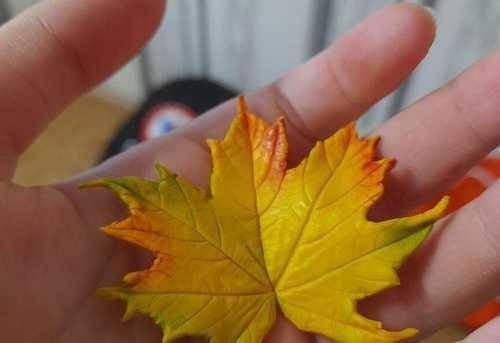 Осенний лист, брошь из фарфора