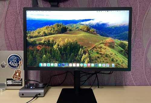 Монитор LG Ultrafine 24 (24MD4KL-B)