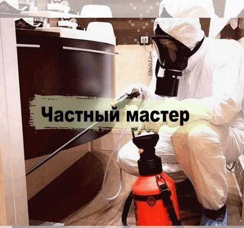 Средство против клопов тараканов