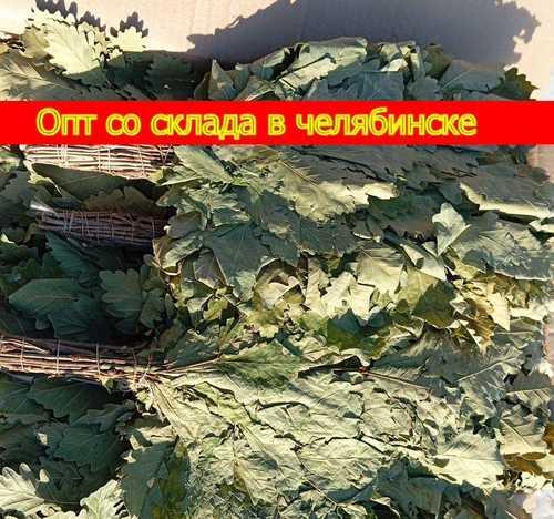 Веник для бани оптом дубовый свежий 30 штук