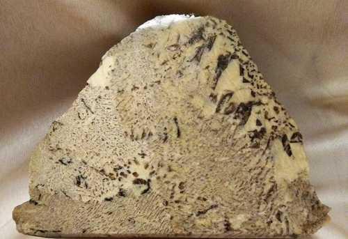 Письменный гранит (минерал с еврейской клинописью)