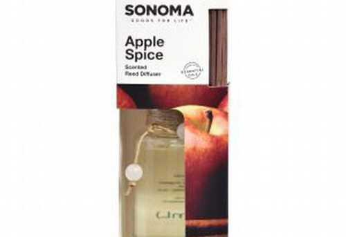 Sonoma Goods For Life Диффузор Apple Spice Reed, н