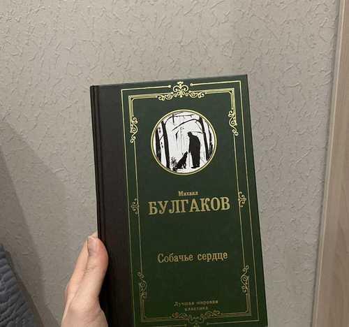 Булгаков собачье сердце