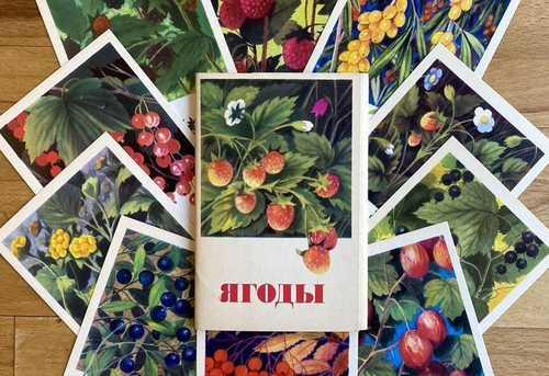 Винтажные красивые ботанические открытки «Ягоды»
