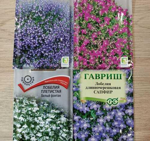 Лобелия